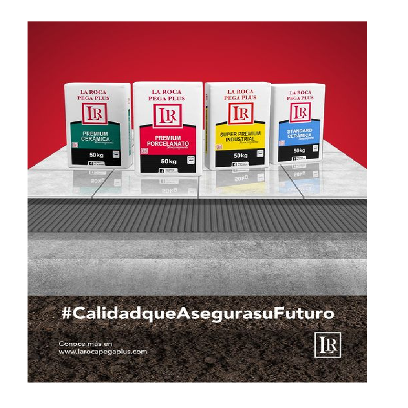 Morteros adhesivos : La Roca Pega Plus | Construex