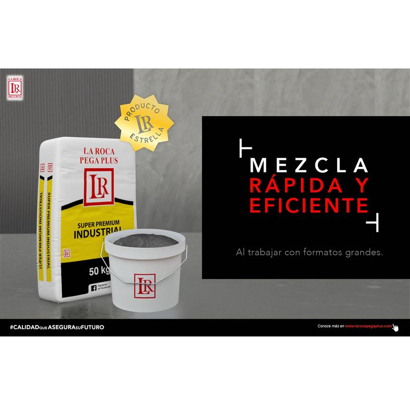 Premium Industrial Ecuador : La Roca Pega Plus | Construex