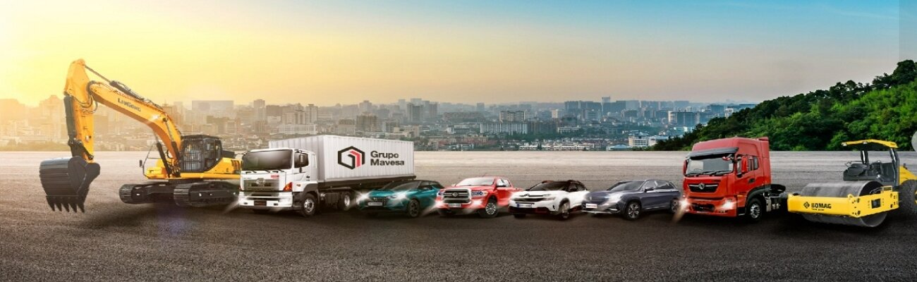Grupo Mavesa | Construex