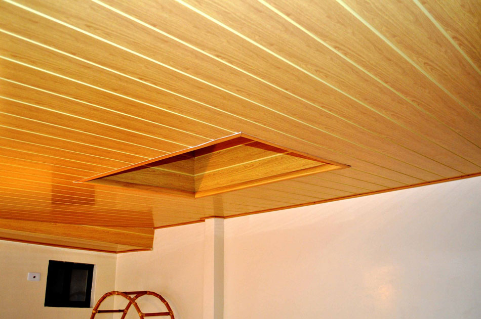 CIELO RASO DE PVC : Casa Guzmán | Construex